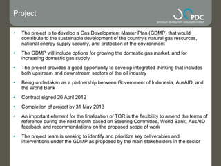 210512 gas development master plan steering committe meeting | PDF