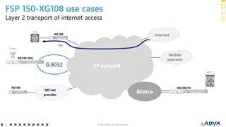 Seamless growth from 1G to 10G services with the ADVA FSP 150-XG108 ...