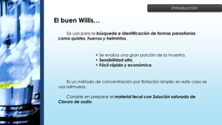 210527 UII EXP001 Método de Willis.pdf