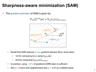 Sharpness-aware minimization (SAM) | PDF