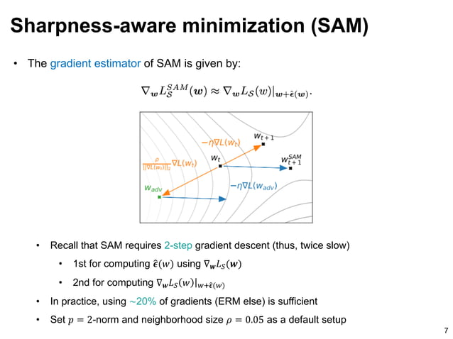 Sharpness-aware minimization (SAM) | PDF | Computing | Technology & Computing