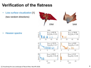 Sharpness-aware minimization (SAM) | PDF