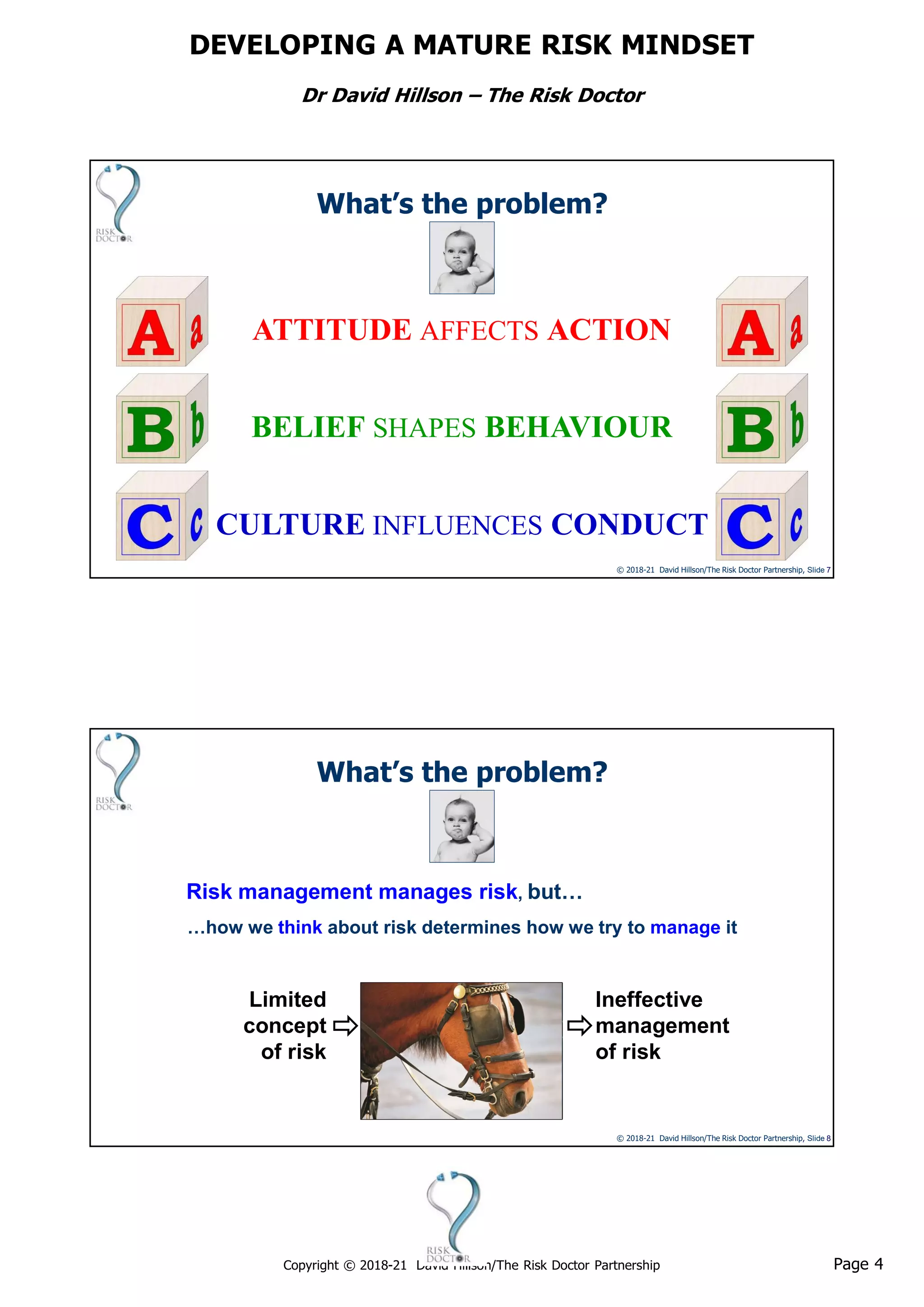 Developing a mature risk mindset, 1 July 2021 | PDF