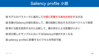 【DL輪読会】Where do Models go Wrong? Parameter-Space Saliency Maps for Explainability | PPT