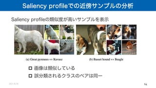 【DL輪読会】Where do Models go Wrong? Parameter-Space Saliency Maps for Explainability | PPT