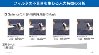 【DL輪読会】Where do Models go Wrong? Parameter-Space Saliency Maps for Explainability | PPT