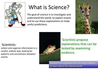 2109 20 primary science session 1 what is science me (003) | PPTX ...