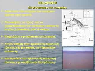 Ποιοτικά και ποσοτικά χαρακτηριστικά του πλουμίου του π. Νέστου ...