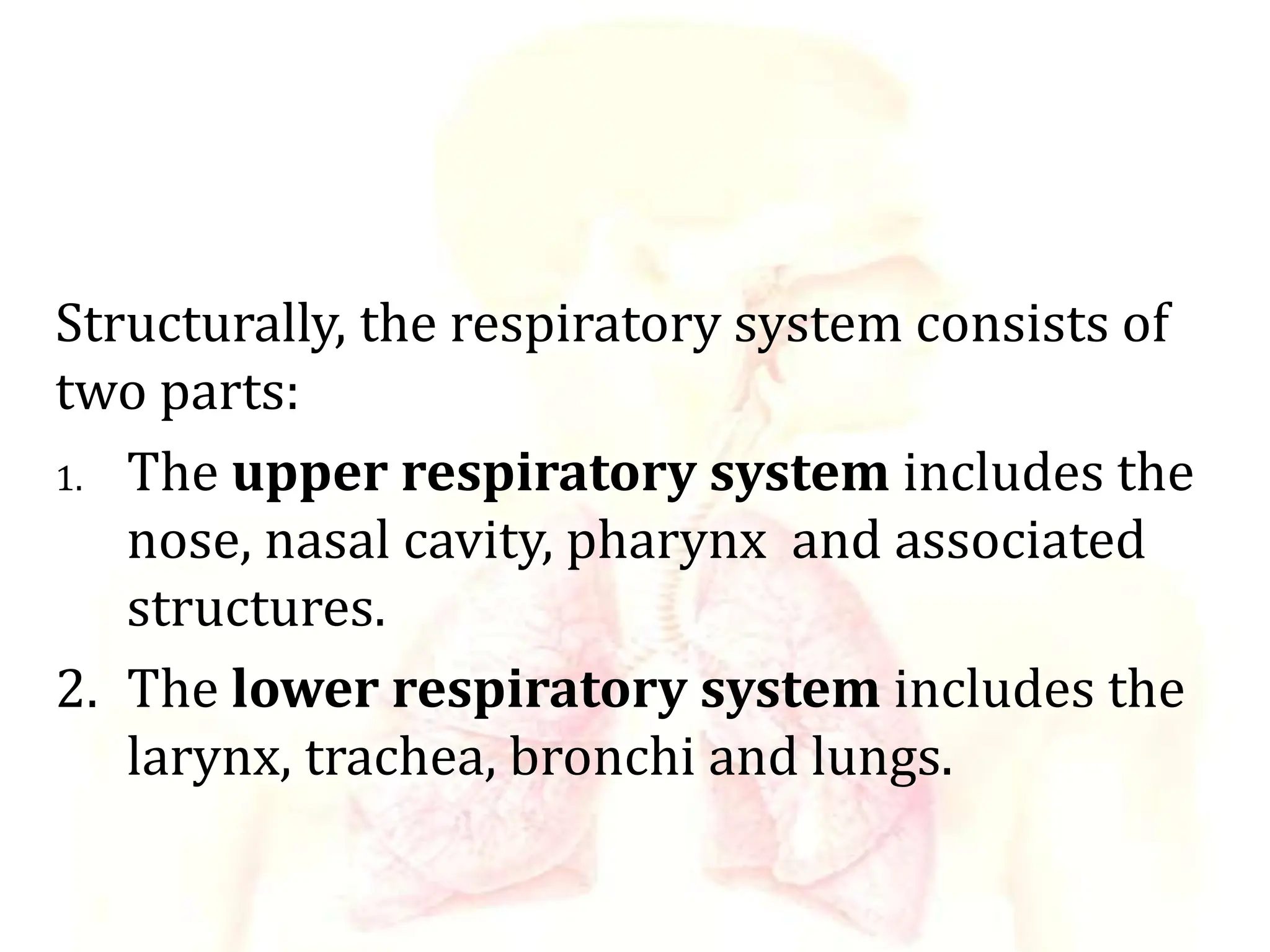 anatomy of respiratory students 211-02.pdf