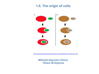 1.5. - The origin of cells | PPTX | Biological Sciences | Science