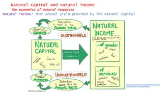 1.4. Sustainability | PPT