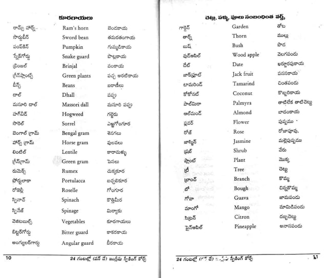 21103520 spoken-english-in-24-hours-from-telugu