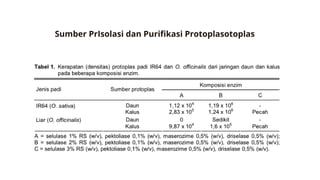 21104002_Sabrina Azizah_Teknik Isolasi&Kultur Protoplas Tanaman Padi ...