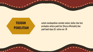 21104002_Sabrina Azizah_Teknik Isolasi&Kultur Protoplas Tanaman Padi ...