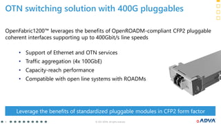 Introducing the FSP 3000 OpenFabric1200™ | PDF