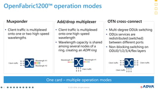 Introducing the FSP 3000 OpenFabric1200™ | PPT