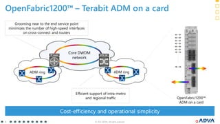 Introducing the FSP 3000 OpenFabric1200™ | PDF