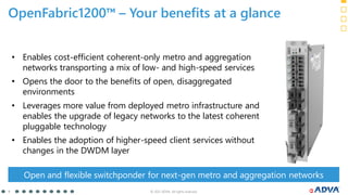 Introducing the FSP 3000 OpenFabric1200™ | PDF