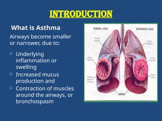 Asthma in detail with examples and drugs | PPT