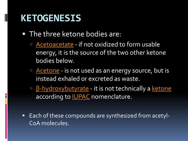 21190_Ketogenesis.ppt