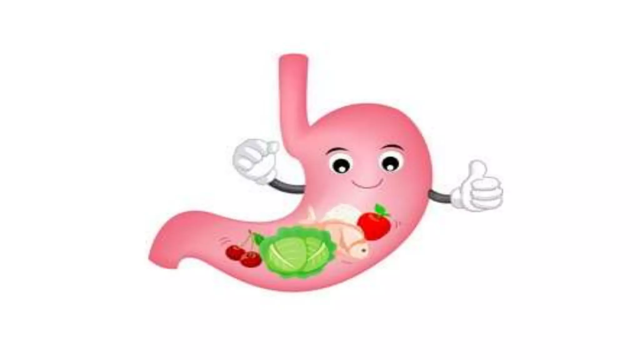 Digestive parts of Herbivores, Carnivores and Omnivores.pptx