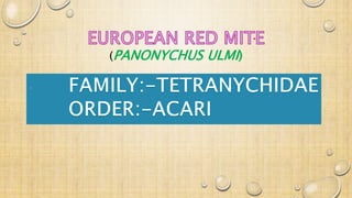 European Red Mite | PPT