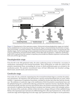 (Original PDF) Applied Respiratory Pathophysiology | PDF