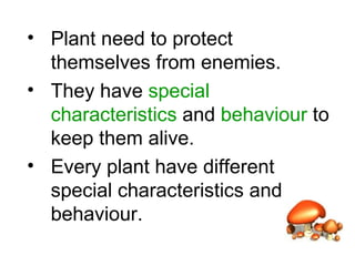 plant protect themselves | PPT