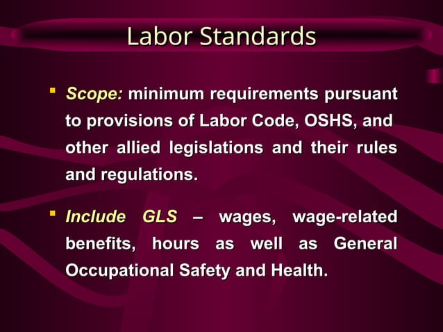 212562591-General-Labor-Standards-Presentation.ppt