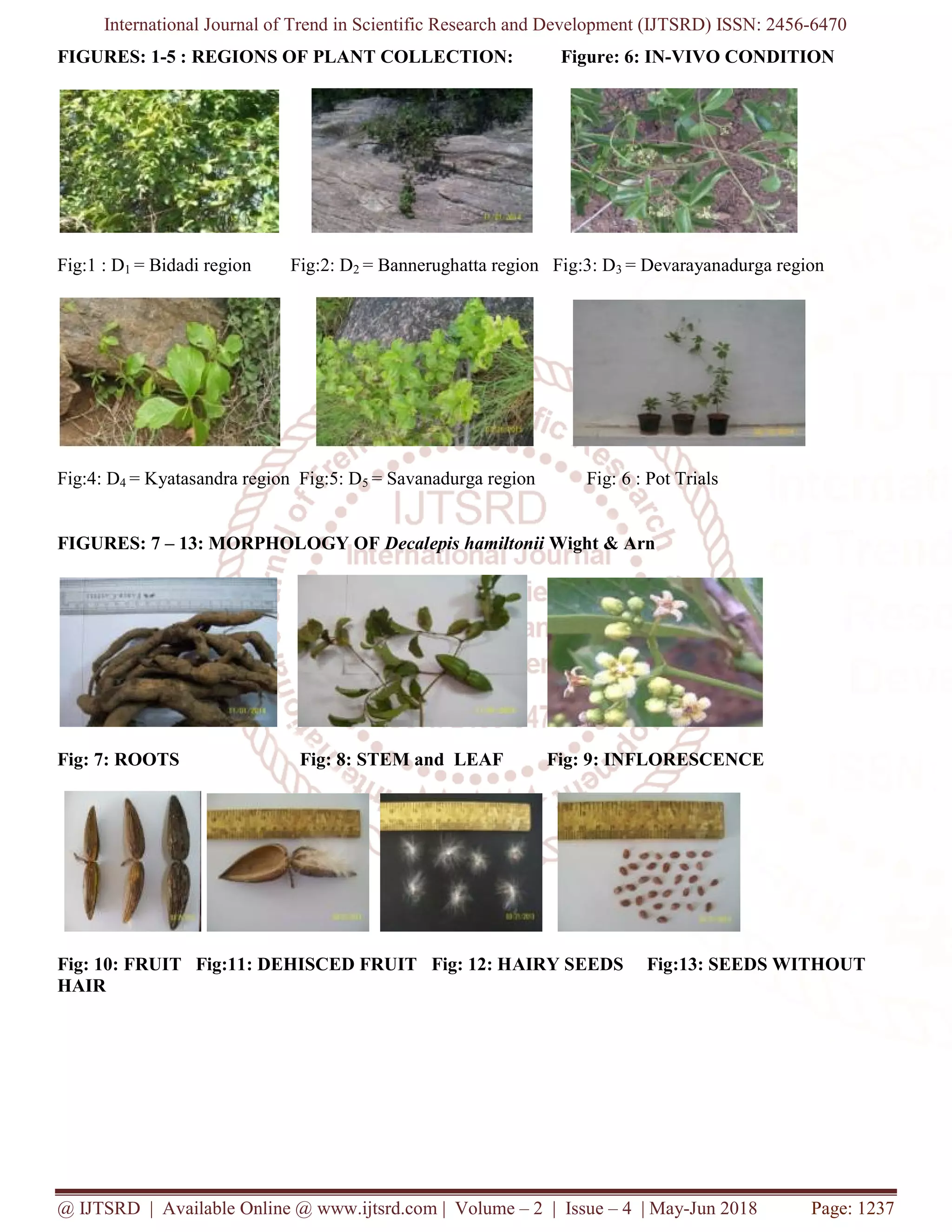 Evaluation of morphological and anatomical characters on growth of ...