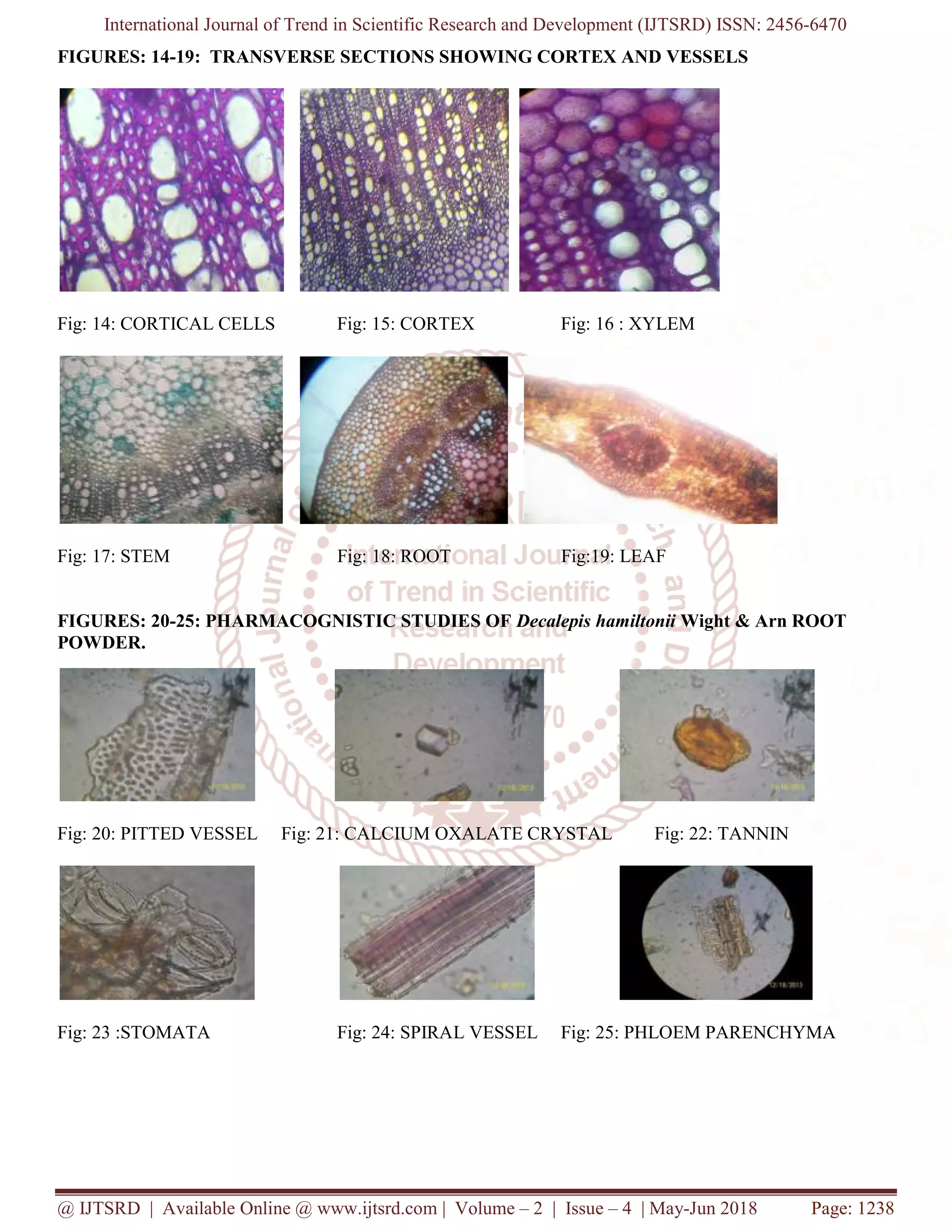 Evaluation of morphological and anatomical characters on growth of ...