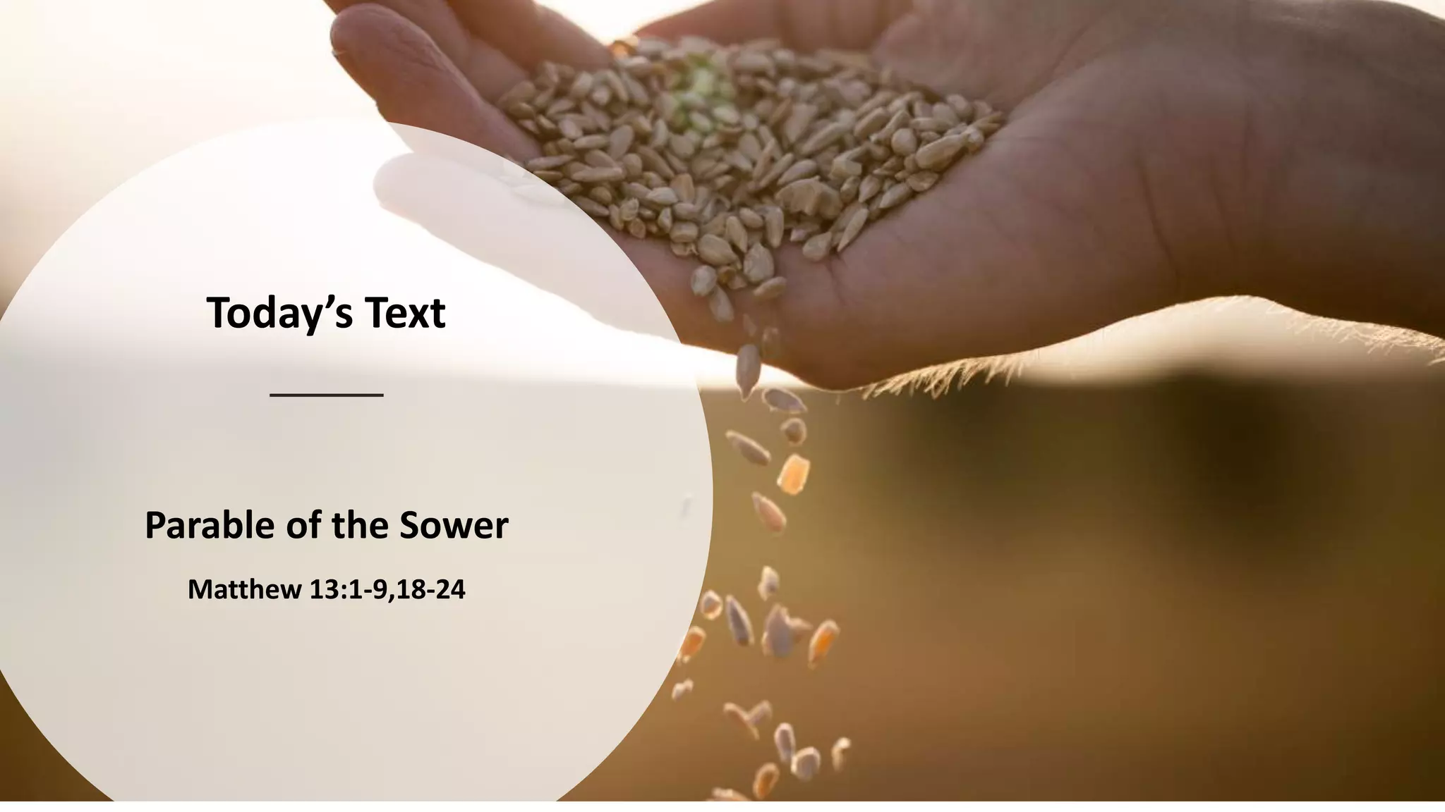 The parable of the sower | PPTX