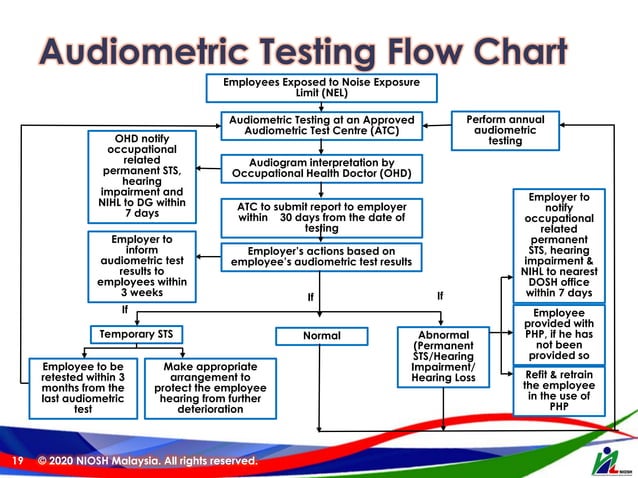 Audiometric Testing and Analysis Occupational Health Disease | PDF