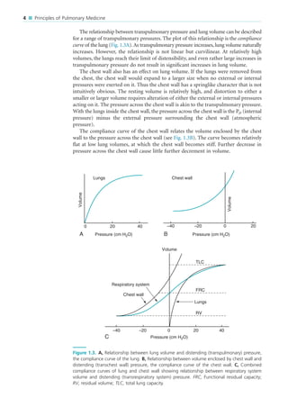 (Original PDF) Principles of Pulmonary Medicine 7th Edition | PDF