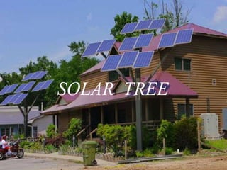 214085739-Solar-Tree.pptx