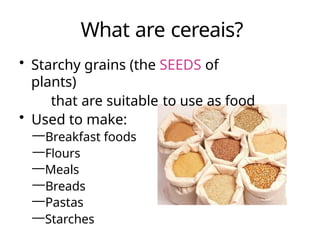 Cereal and starches Lecture Grade 8 Culinary | PPT