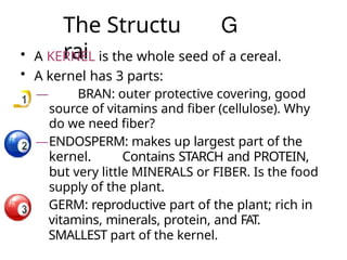 Cereal and starches Lecture Grade 8 Culinary | PPT