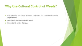 Cultural weed control | PPTX