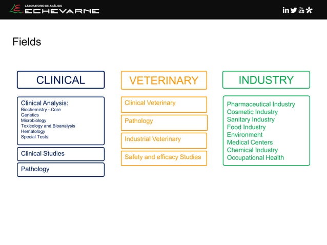 Echevarne Laboratory 2015 | PPTX | Medical Health