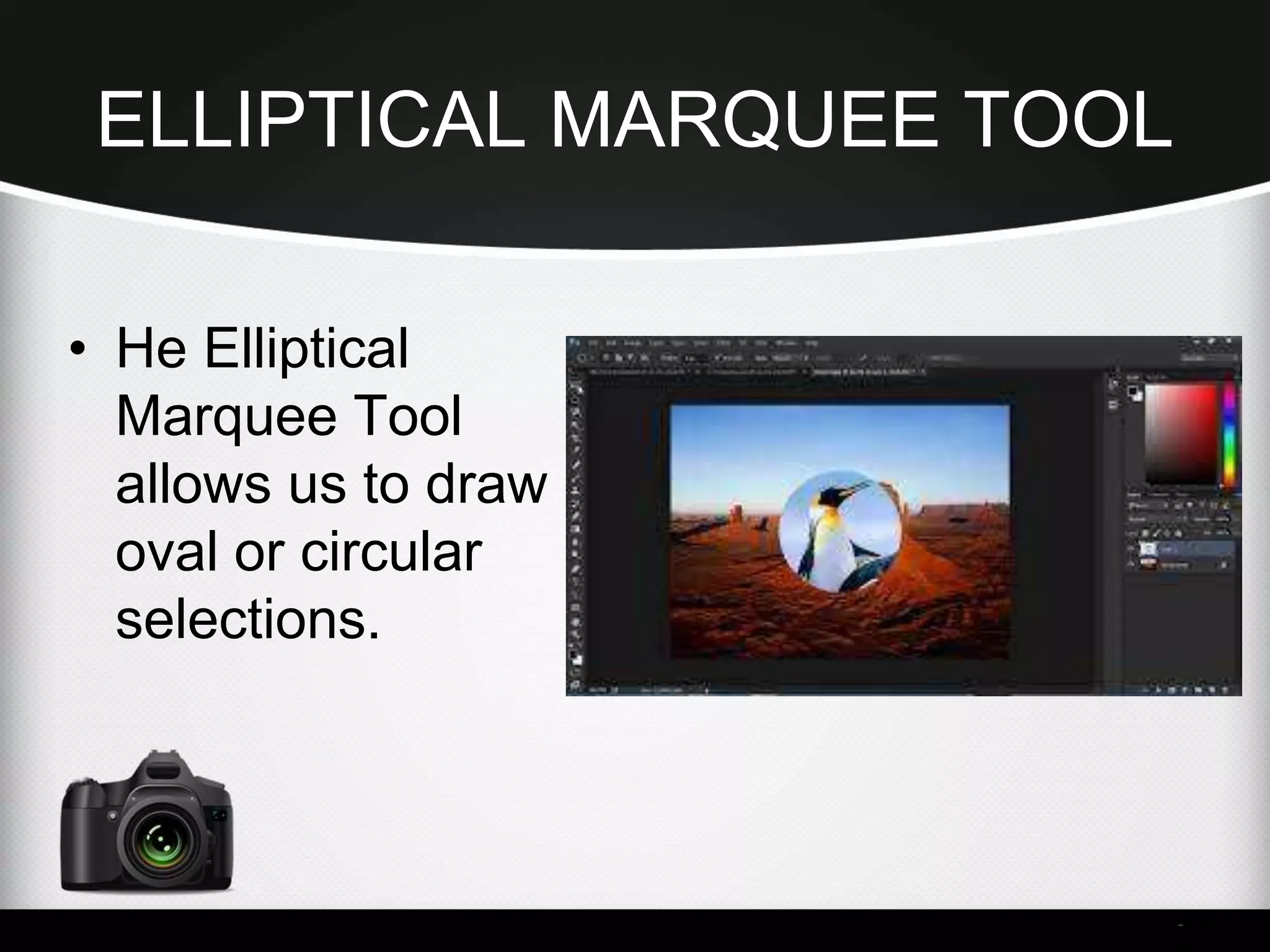 Marquee Tool | PPT