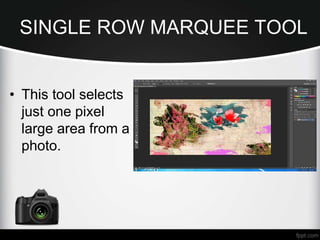 Marquee Tool | PPT