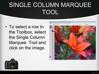 Marquee Tool | PPT
