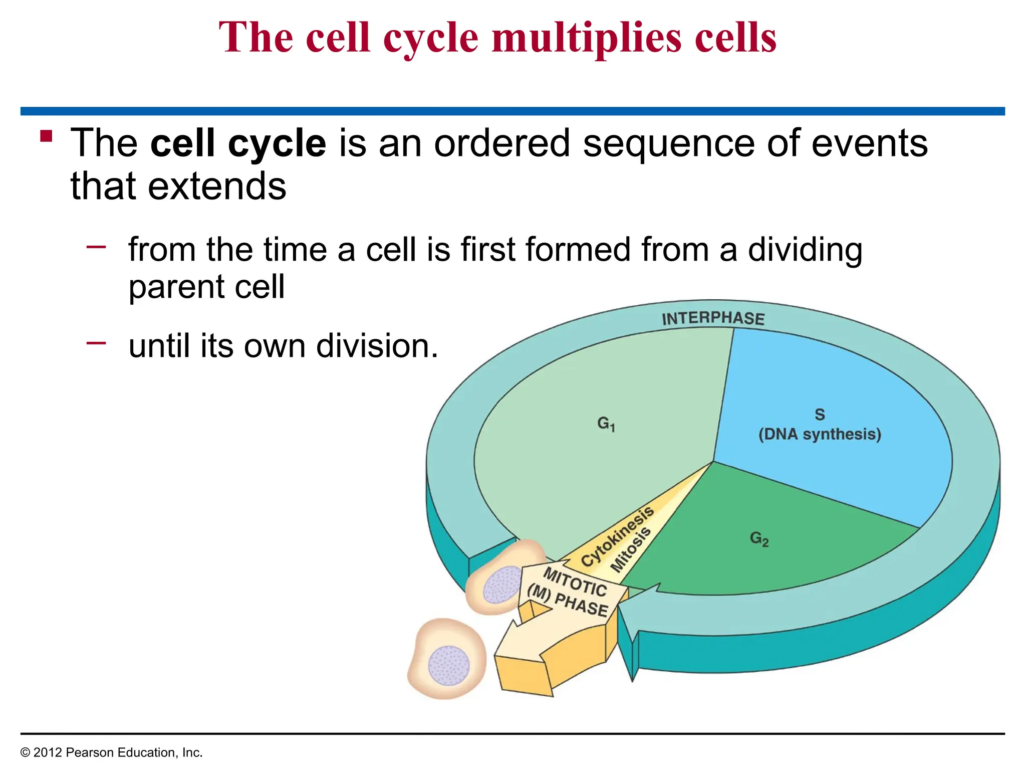 215344cell cycle-mitosis- meiosis slides, 3 rd semester morning biopass ...