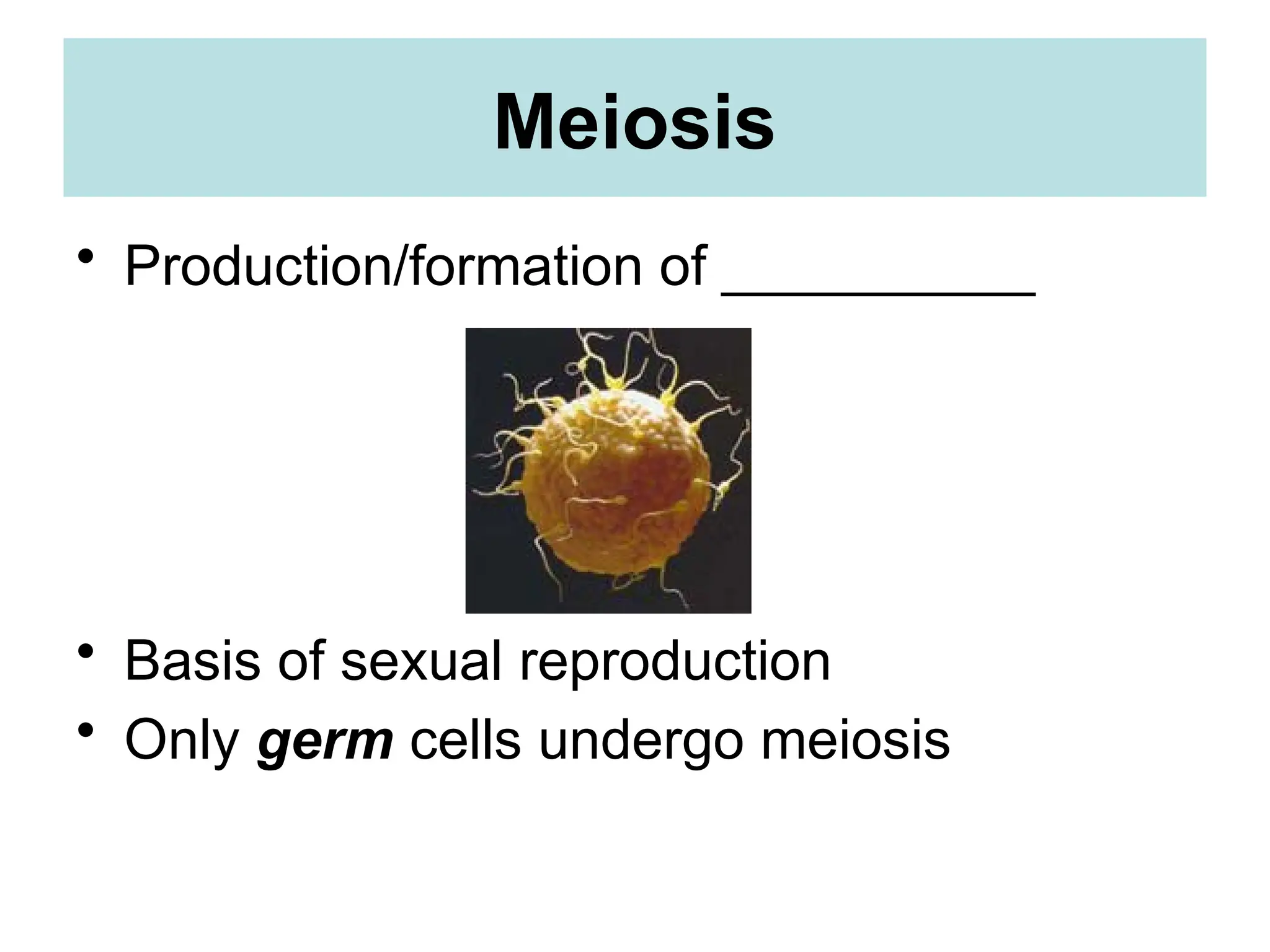 215344cell cycle-mitosis- meiosis slides, 3 rd semester morning biopass ...