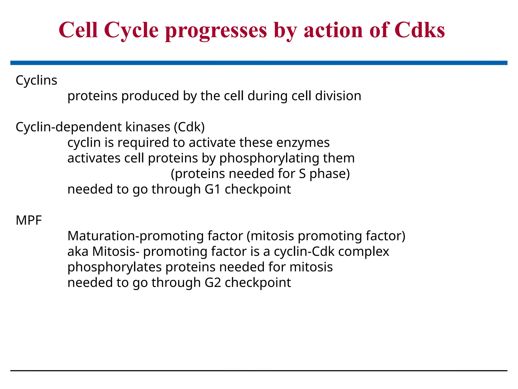 215344cell cycle-mitosis- meiosis slides, 3 rd semester morning biopass ...