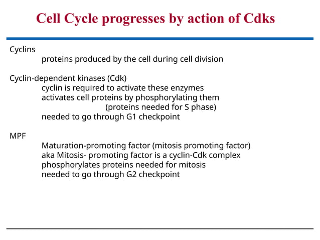 215344cell cycle-mitosis- meiosis slides, 3 rd semester morning biopass ...