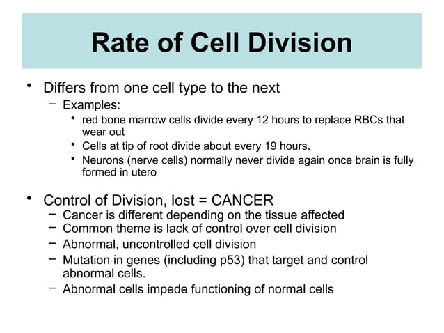 215344cell cycle-mitosis- meiosis slides, 3 rd semester morning biopass ...