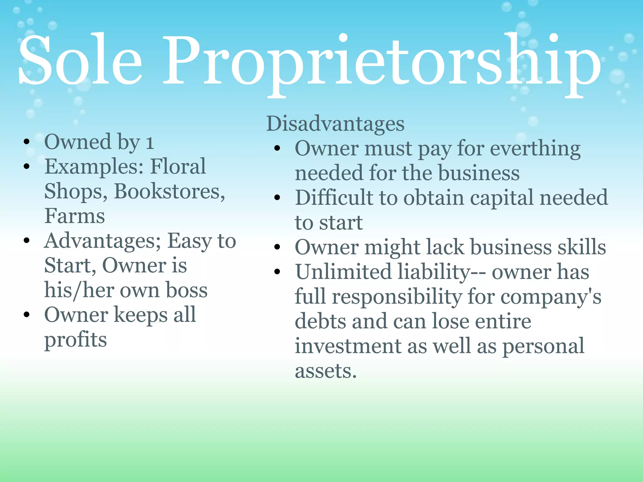Sole proprietorship, partnership, corporation, and franchise1.02— | PPT