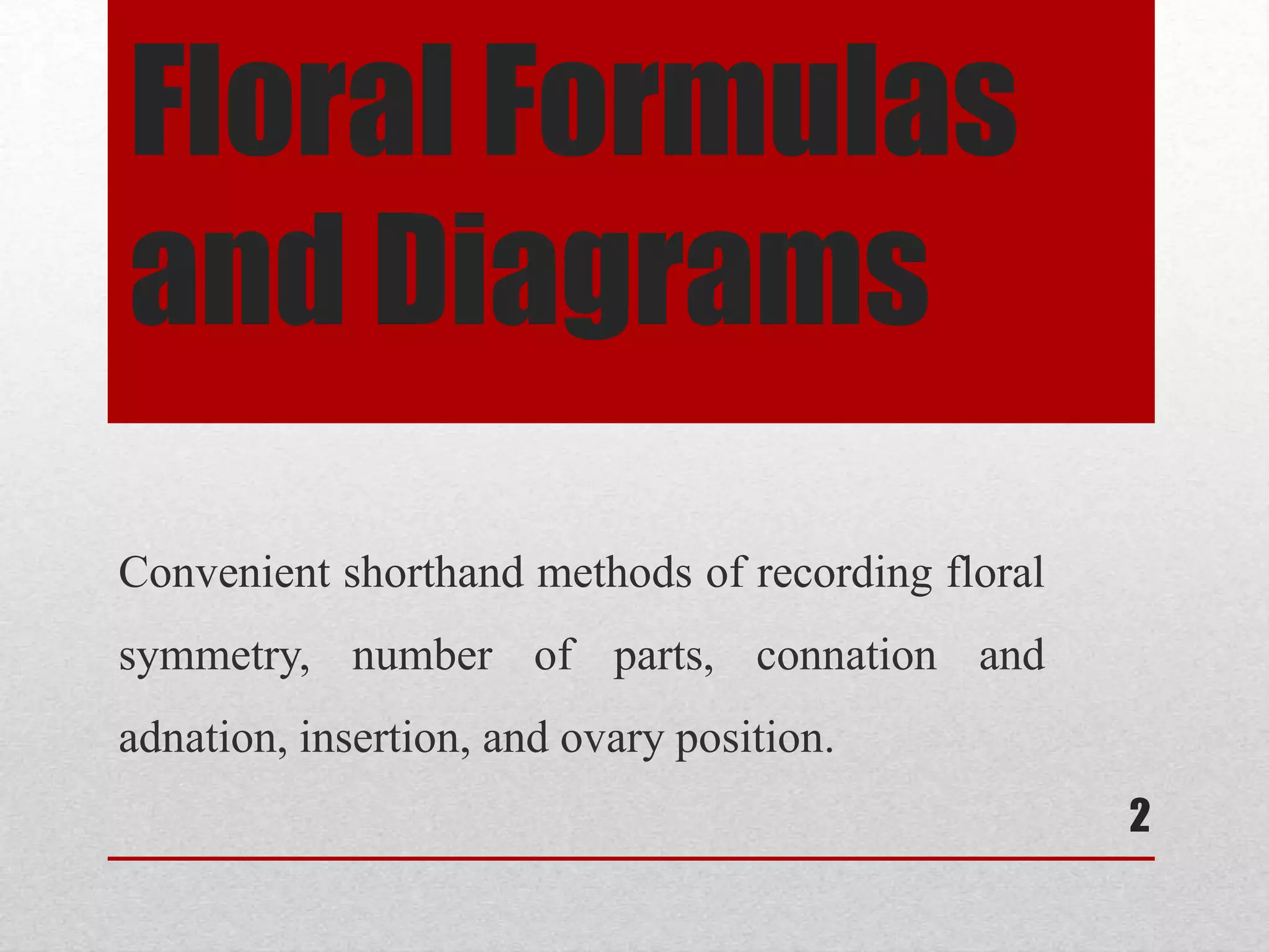 215962739-5-a-Floral-Formulas-and-Diagrams.ppt