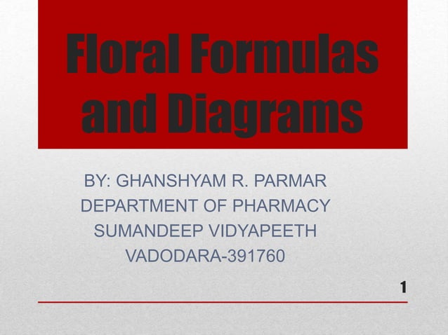 215962739-5-a-Floral-Formulas-and-Diagrams.ppt | Flower Shopping | Shopping